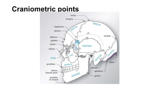 General Anatomy of the Skull and Central Nervous.pptx