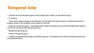 General Anatomy of the Skull and Central Nervous.pptx