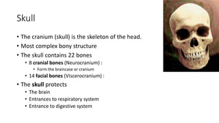 General Anatomy of the Skull and Central Nervous.pptx