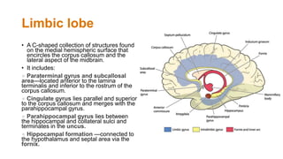 General Anatomy of the Skull and Central Nervous.pptx