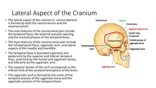 General Anatomy of the Skull and Central Nervous.pptx