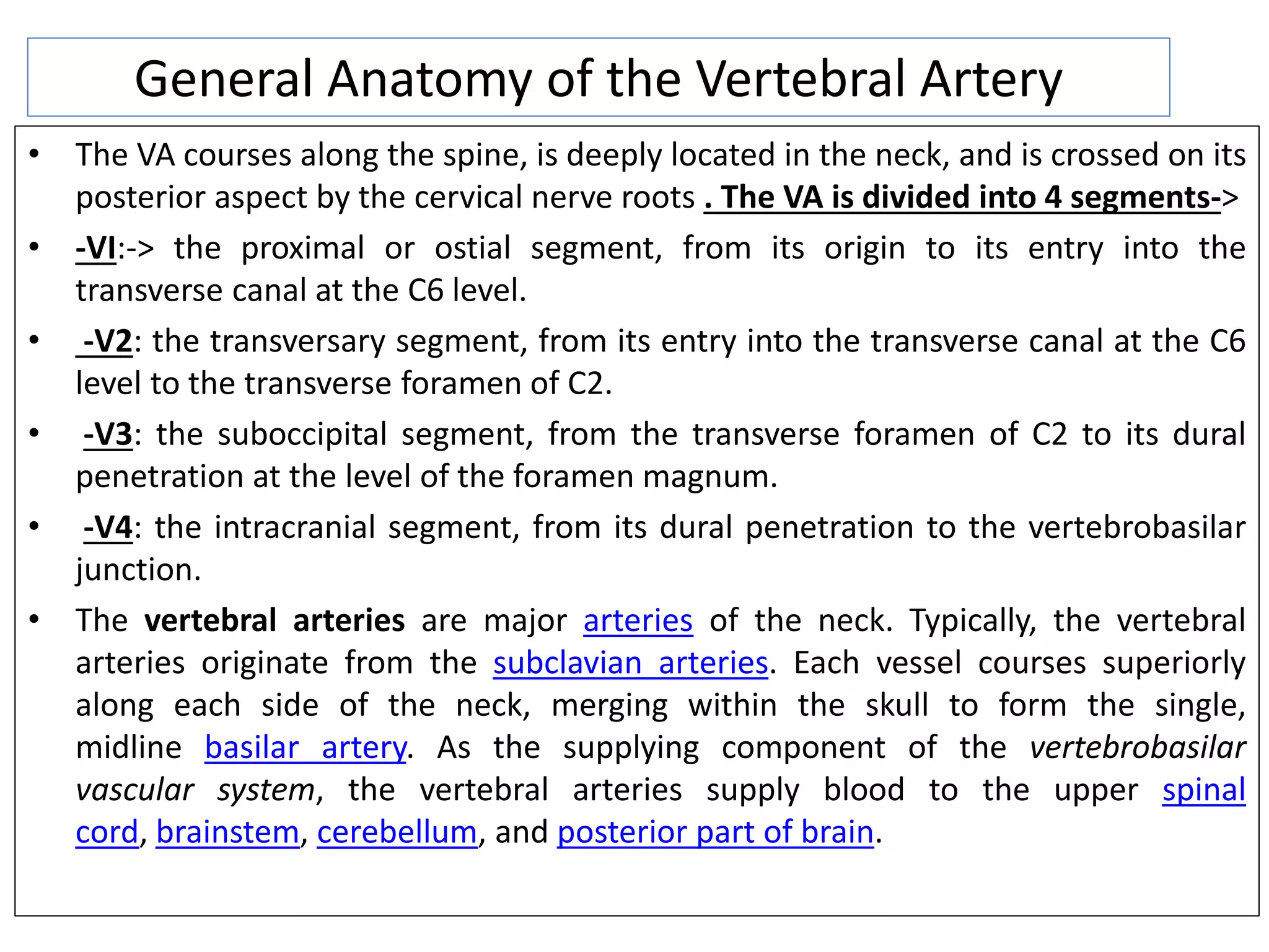 General anatomy of the vertebral artery | PPTX