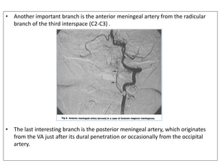 General anatomy of the vertebral artery | PPTX