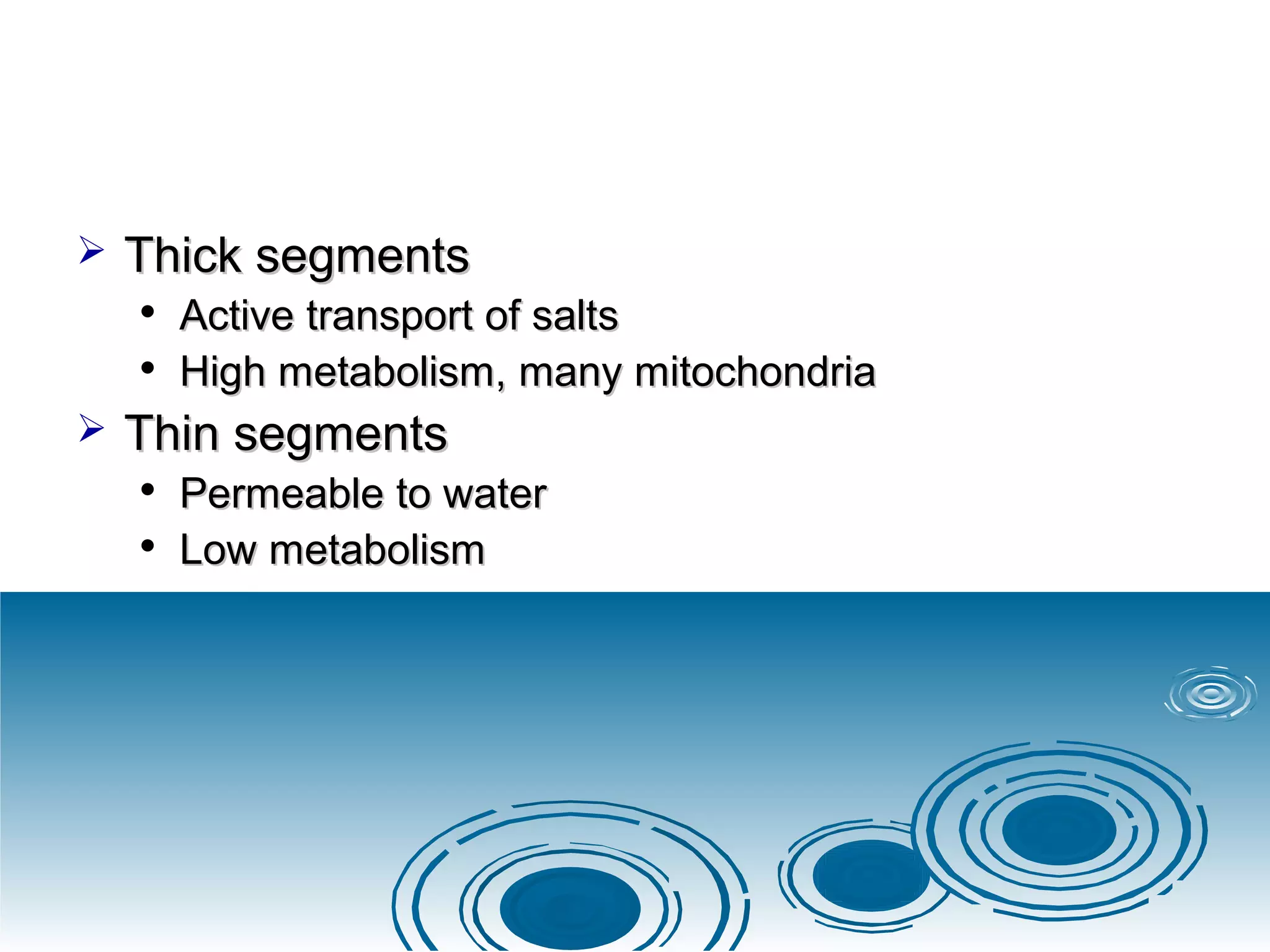 General anatomy of urinary system ppt | PPT