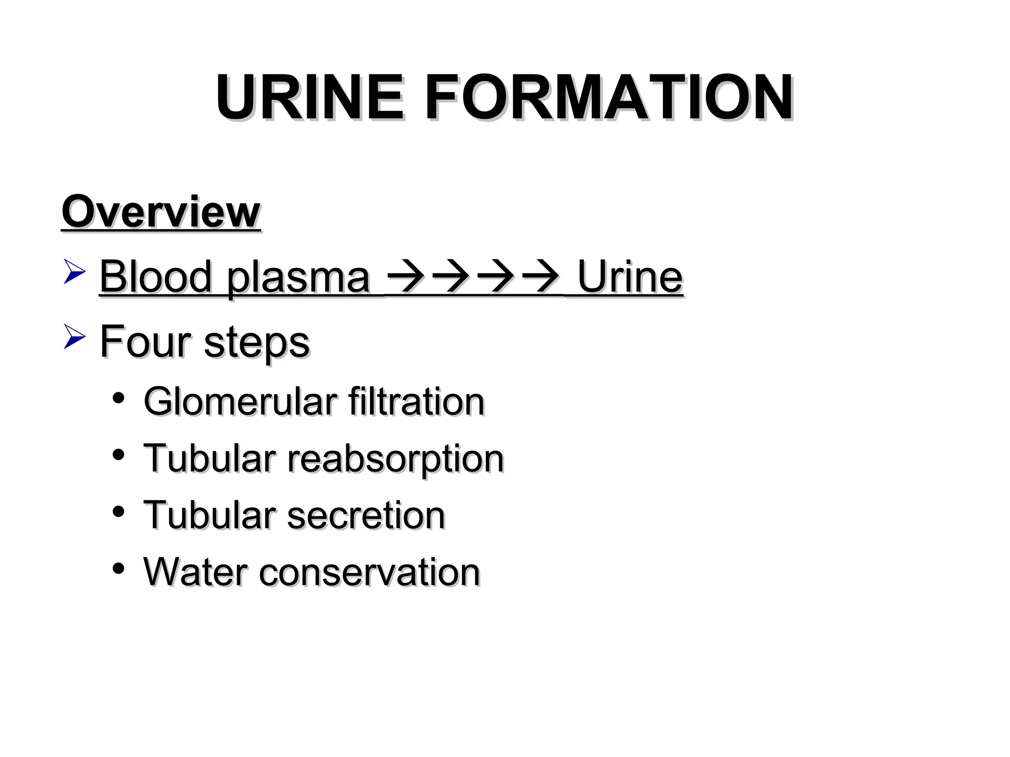 General anatomy of urinary system ppt | PPT | Biological Sciences | Science