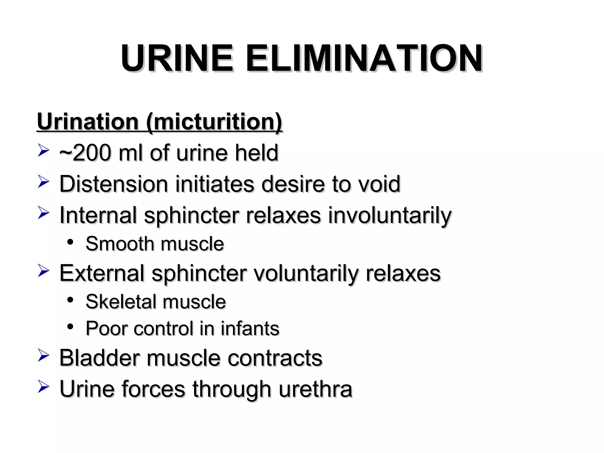 General anatomy of urinary system ppt | PPT