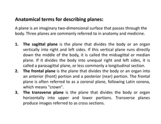 Introduction to basic anatomy of human body | PDF