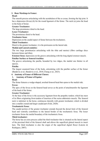 Comparative Anatomy of the Femur in Equine, Bovine, and Canine Species ...