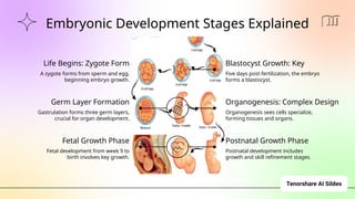 General and Comparative Embryology 3.pptx