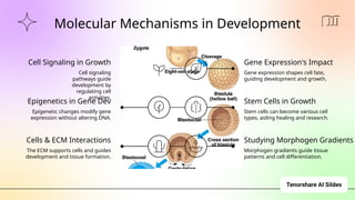 General and Comparative Embryology 3.pptx