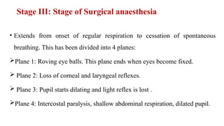 General vs Local Anaesthesia: Mechanism, Uses & Differences ...