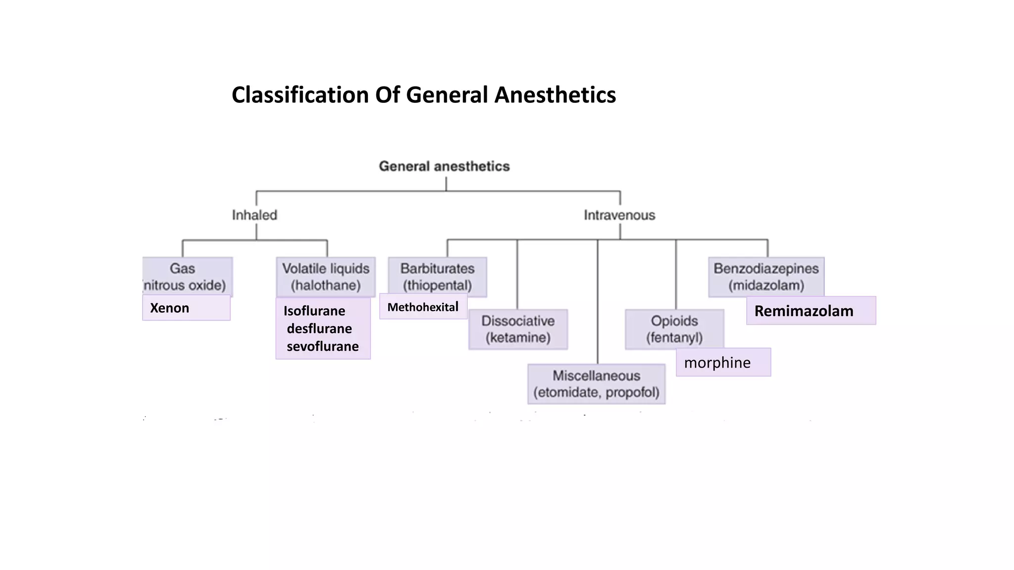 General anesthetics / Medicinal Chemistry III | PDF
