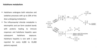 General anesthetics / Medicinal Chemistry III | PDF