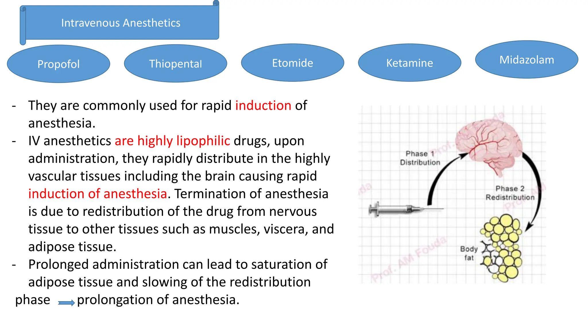 GENERAL ANESTHESIA pharmacology presentation | PDF