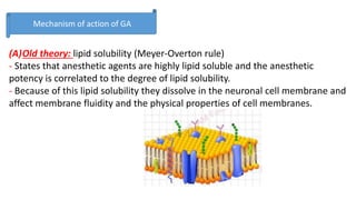 GENERAL ANESTHESIA pharmacology presentation | PDF