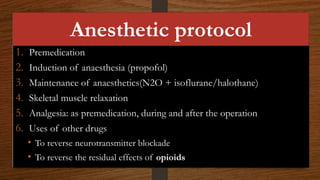 Overview of General Anesthetics.pdf (Pharmacology) | PPT