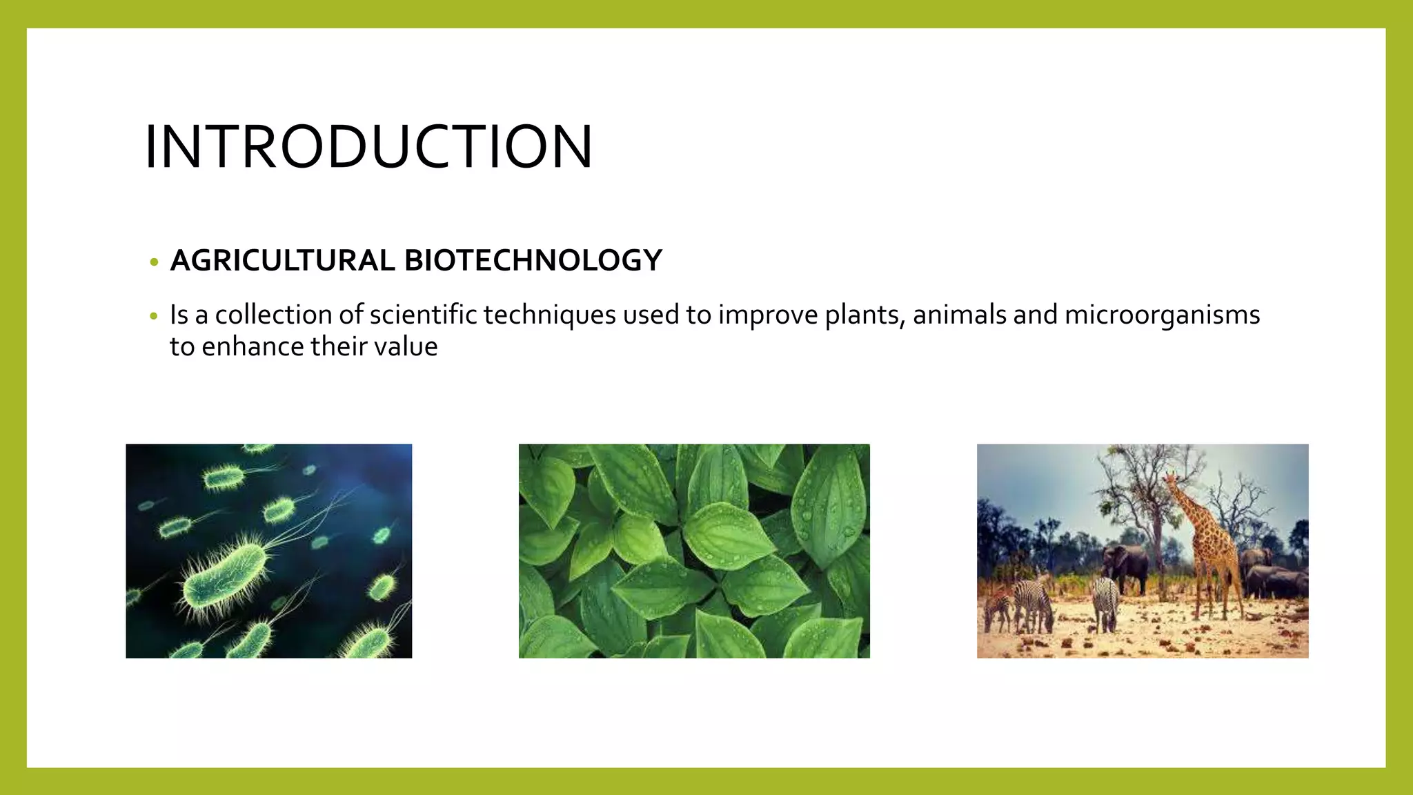 General applications of biotechnology in agriculture | PPTX