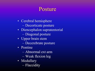 General approach and differential diagnosis of coma | PDF