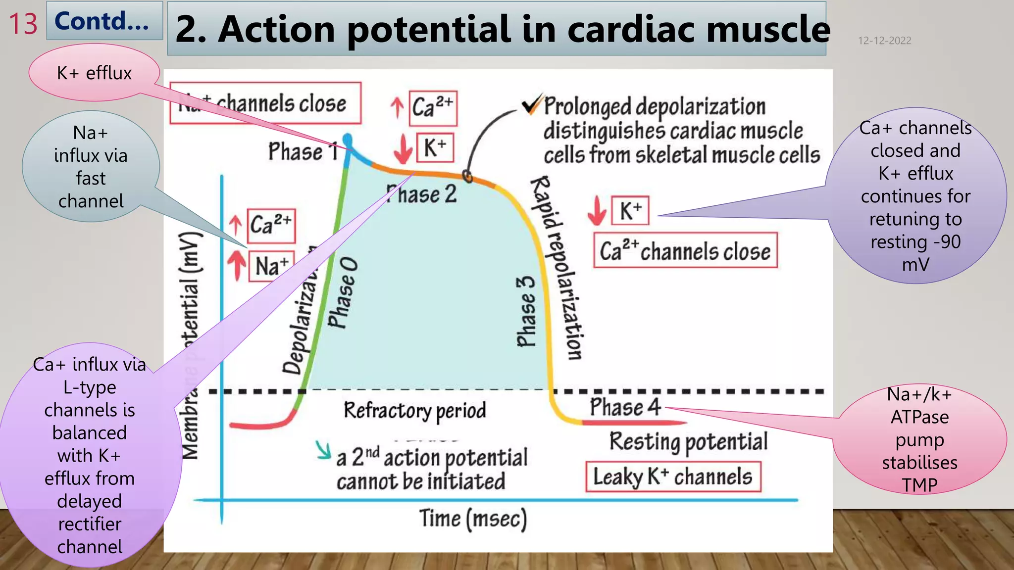 Neurotransmitters/General aspect and steps involved in ...