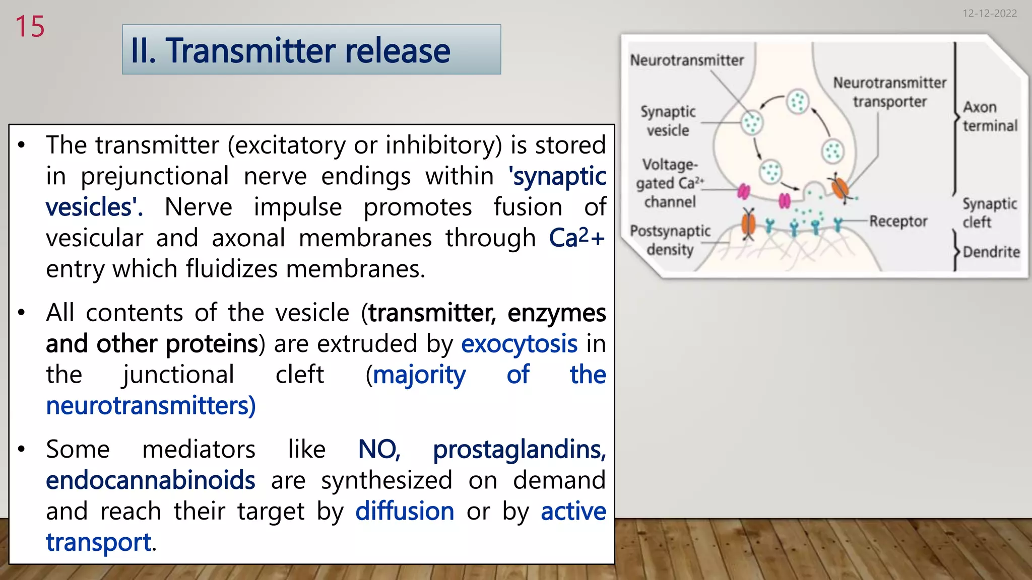 Neurotransmitters/General aspect and steps involved in ...