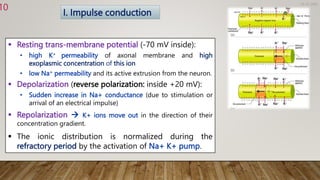 Neurotransmitters/General aspect and steps involved in ...