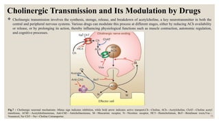 GENERAL ASPECTS AND STEPS INVOLVED IN NEUROTRANSMISSION.pptx