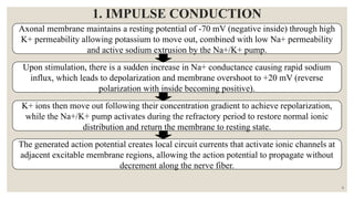 GENERAL ASPECTS AND STEPS INVOLVED IN NEUROTRANSMISSION.pptx