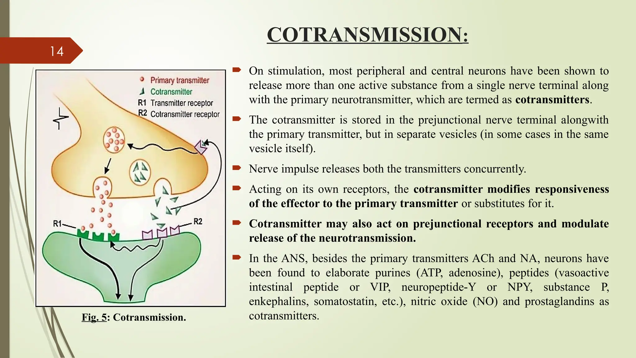 GENERAL ASPECTS AND STEPS INVOLVED IN NEUROTRANSMISSION.pptx