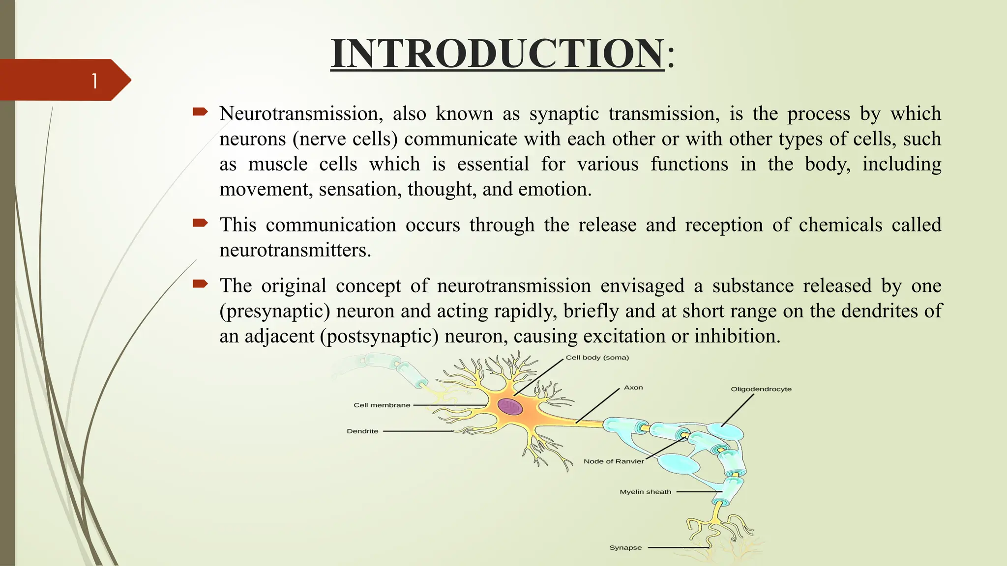 GENERAL ASPECTS AND STEPS INVOLVED IN NEUROTRANSMISSION.pptx | Brain and Nervous System ...