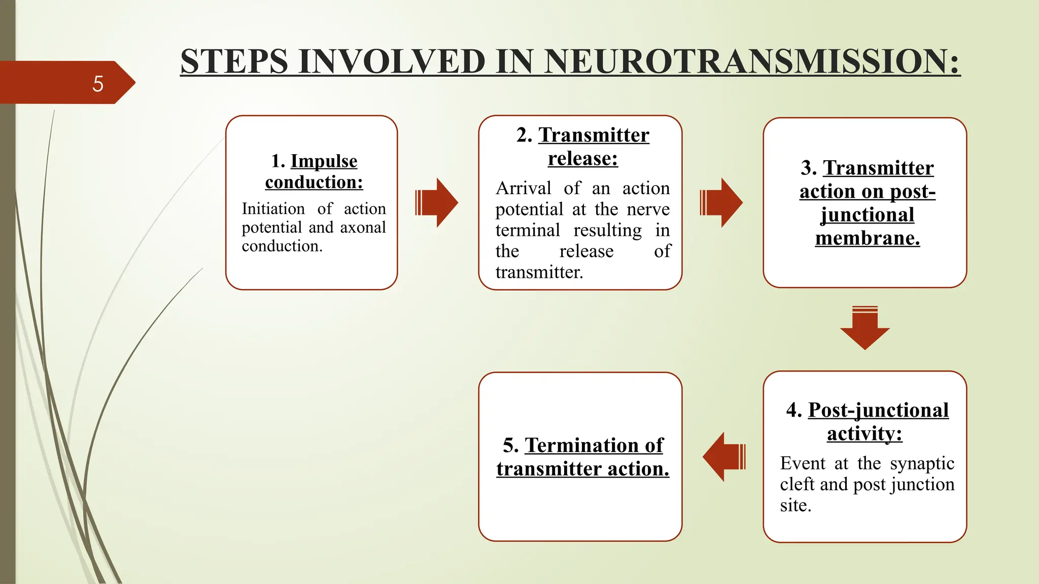 GENERAL ASPECTS AND STEPS INVOLVED IN NEUROTRANSMISSION.pptx
