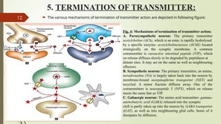 GENERAL ASPECTS AND STEPS INVOLVED IN NEUROTRANSMISSION.pptx