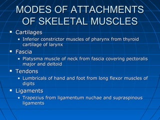 General Anatomy of Muscles- by Dr. Javed Iqbal | PPT