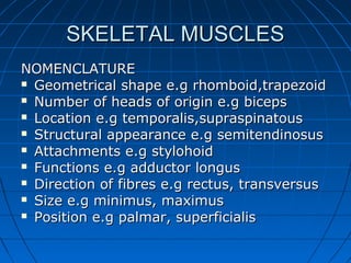 General Anatomy of Muscles- by Dr. Javed Iqbal | PPT