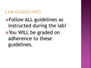 General assignment guidelines | PPTX | Homework and Study | Education