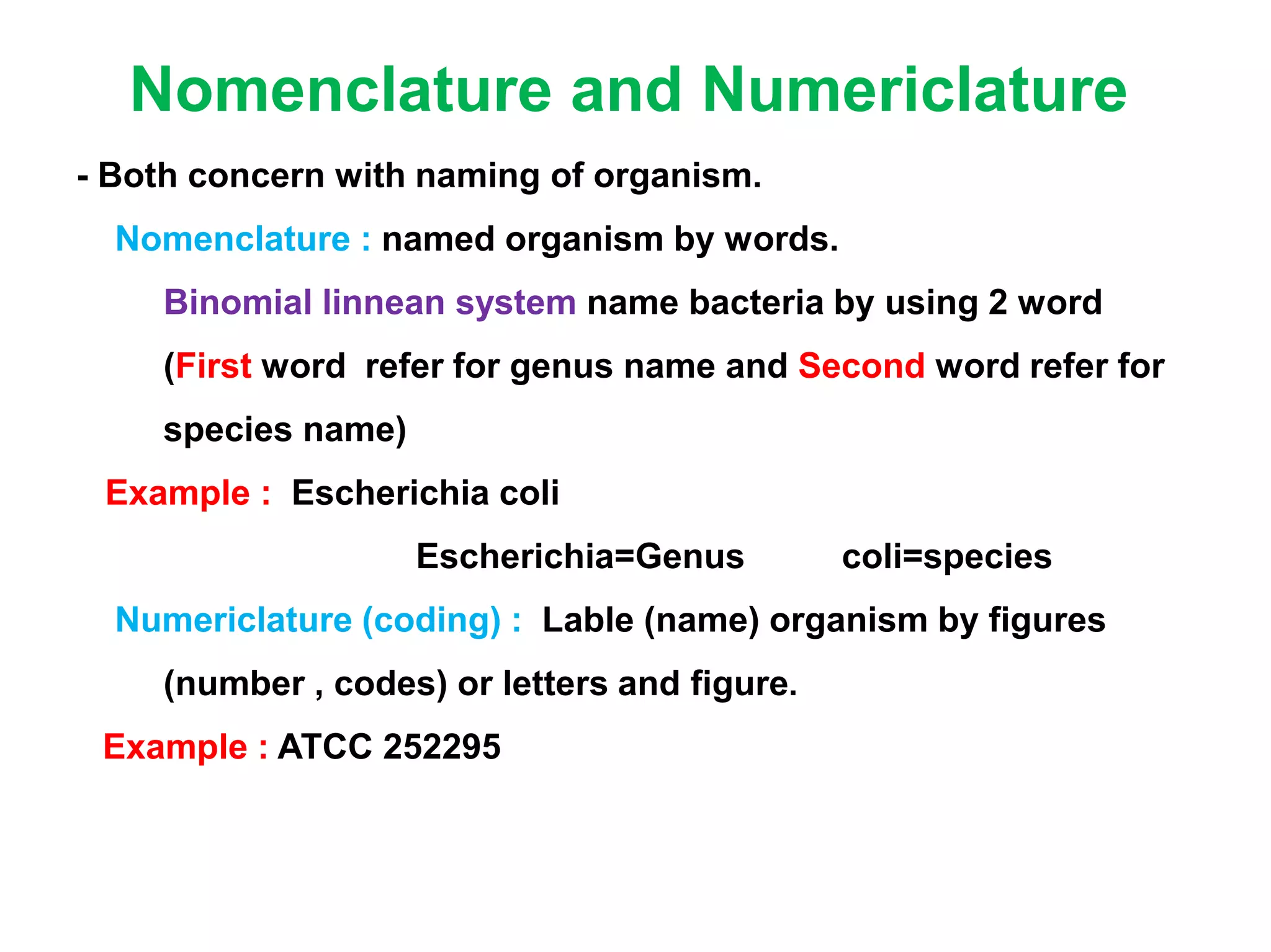 General bacteriology | PDF