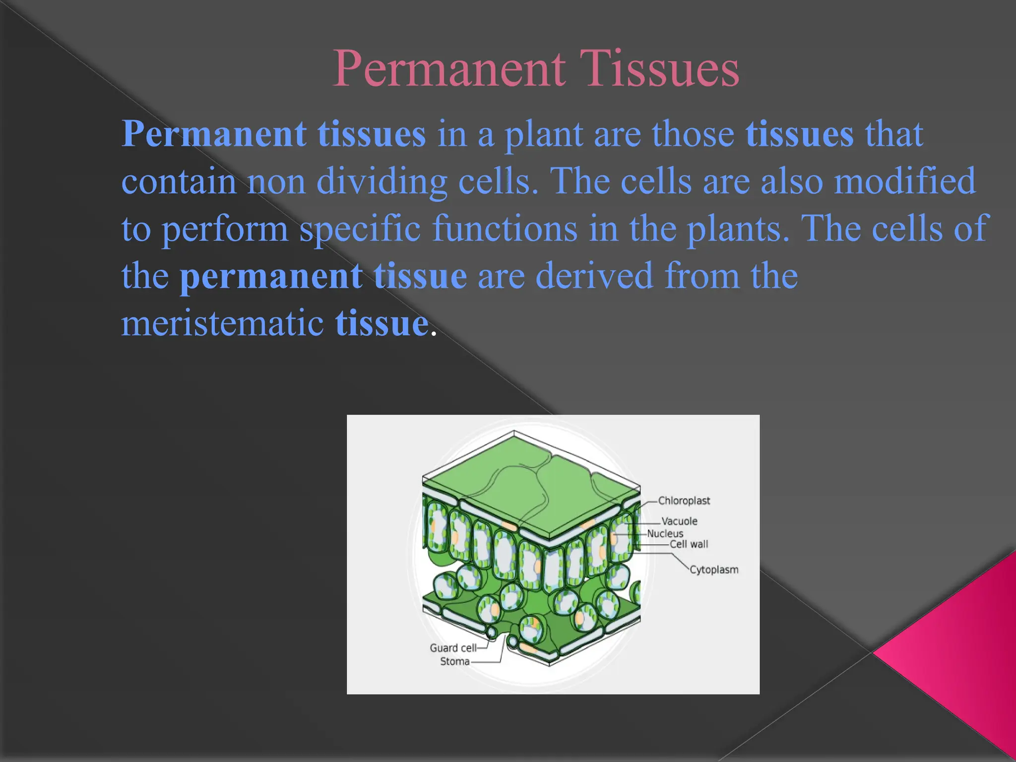GENERAL BILOGY 1 - BIOLOGY PLANTS TISSUE PORTABLE DOCUMENT FORMAT.pdf