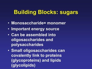 General biochemistry | PPT