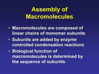 General biochemistry | PPT