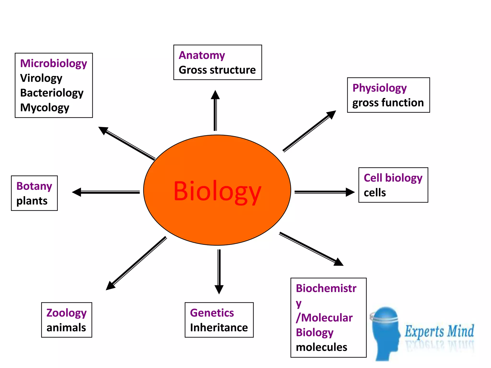 General biology | PPTX