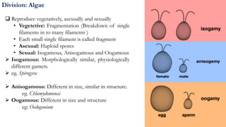 General Biology biology biologybiology .pdf