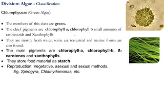 General Biology biology biologybiology .pdf