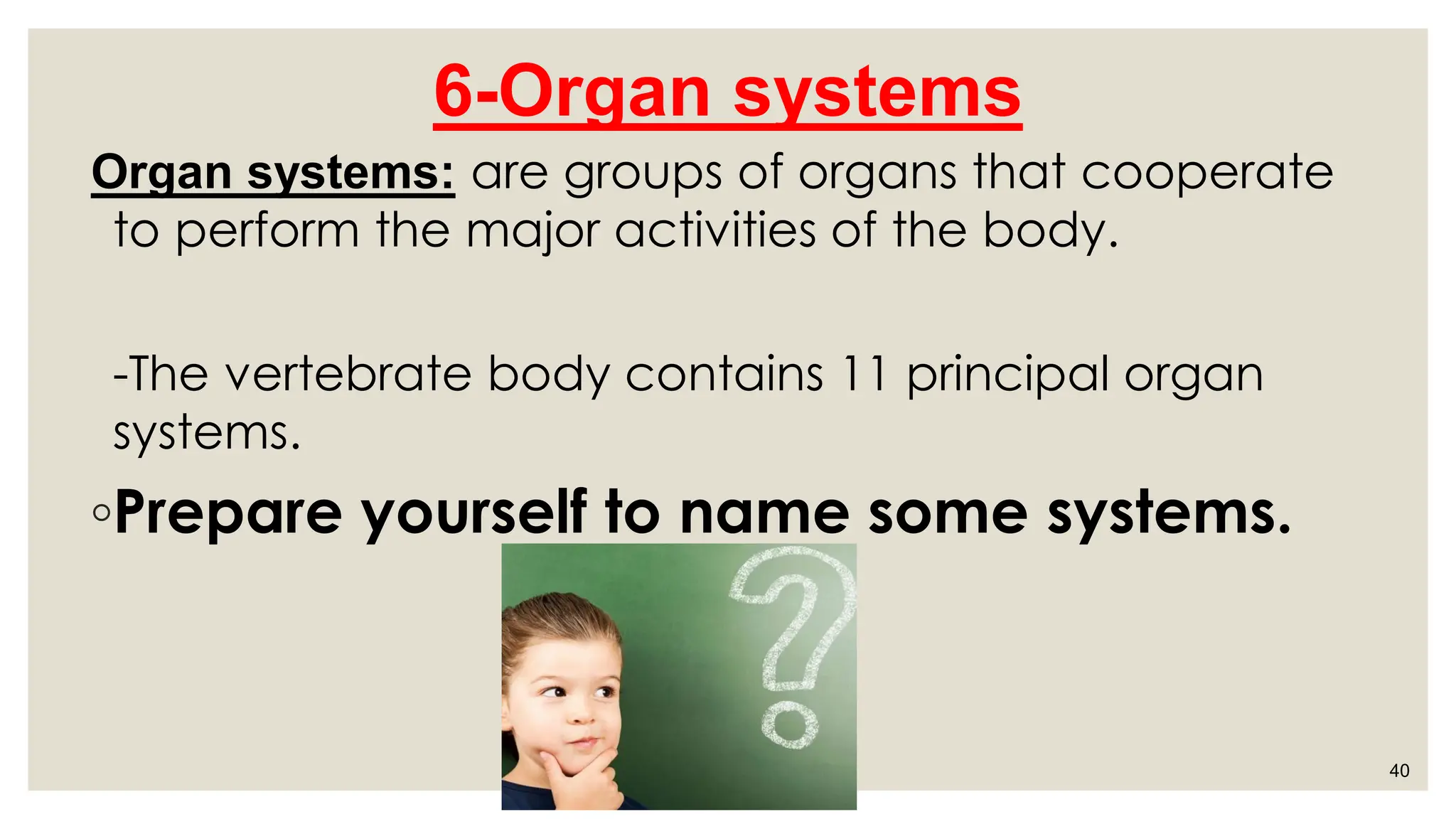 organization of human body-General Biology-L2.pdf