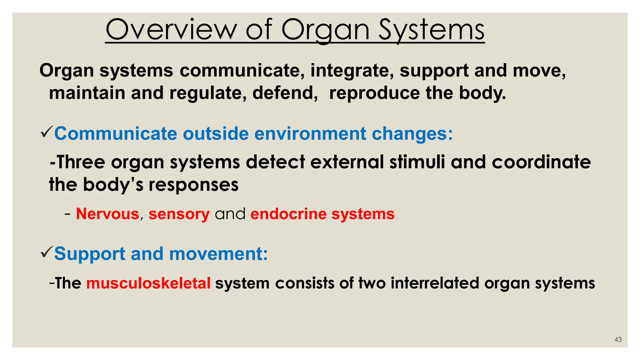 organization of human body-General Biology-L2.pdf