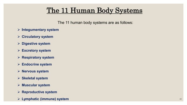 organization of human body-General Biology-L2.pdf | Free Download