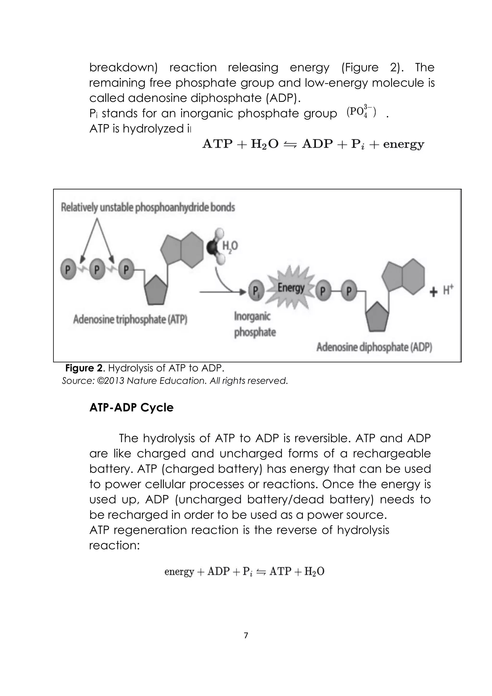 GENERAL BIOLOGY - Q2 - WEEK 1.pdf
