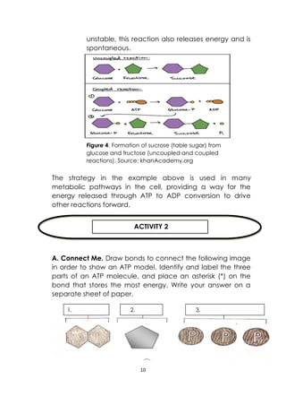 GENERAL BIOLOGY - Q2 - WEEK 1.pdf