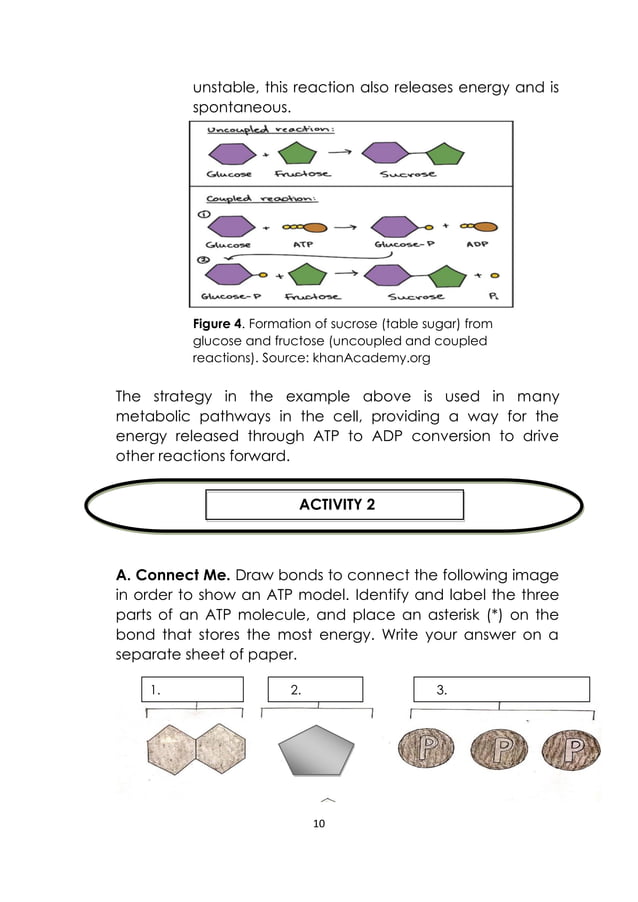 GENERAL BIOLOGY - Q2 - WEEK 1.pdf