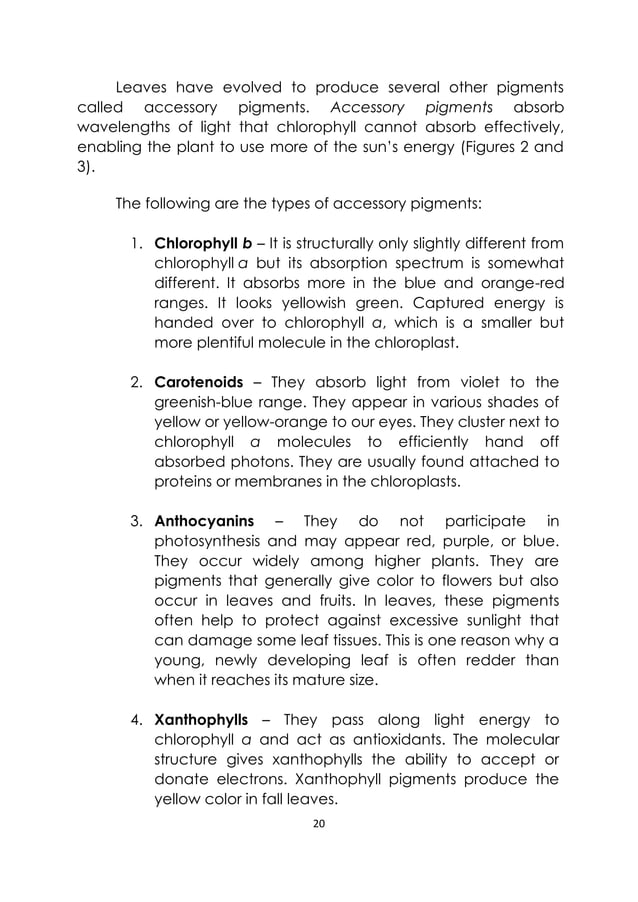 GENERAL BIOLOGY - Q2 - WEEK 1.pdf