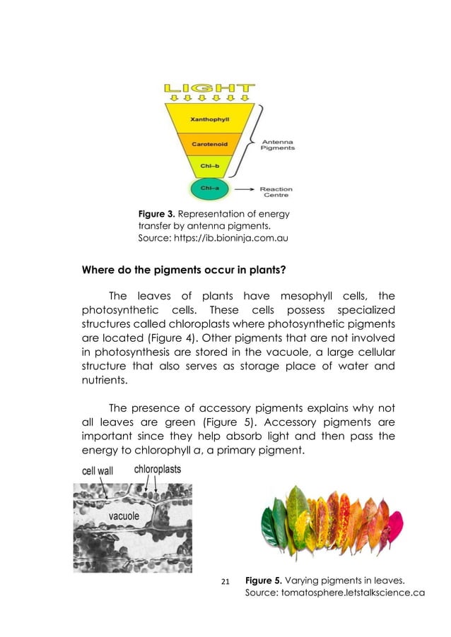 GENERAL BIOLOGY - Q2 - WEEK 1.pdf