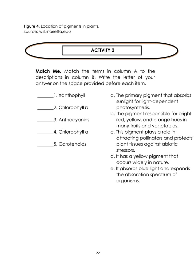 GENERAL BIOLOGY - Q2 - WEEK 1.pdf